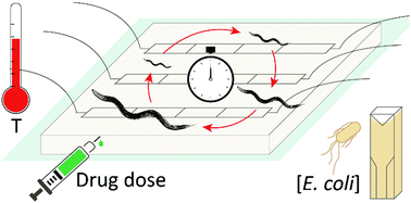 A design of experiment approach for efficient multi-parametric drug ...