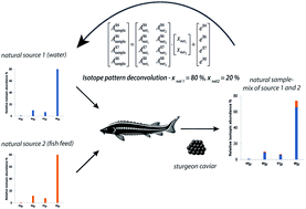 Isotope pattern deconvolution of different sources of stable strontium ...