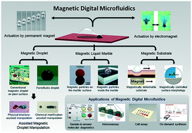 Magnetic digital microfluidics – a review - Lab on a Chip (RSC Publishing)