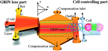 A liquid thermal gradient refractive index lens and using it to trap ...