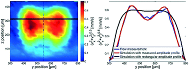 3D measurement and simulation of surface acoustic wave driven fluid ...
