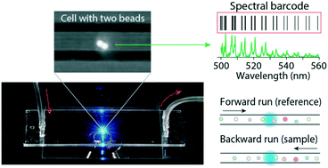 Spectral reading of optical resonance-encoded cells in microfluidics ...