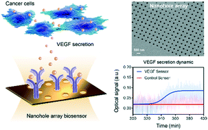 Plasmonic nanohole array biosensor for label-free and real-time analysis of live cell secretion ...