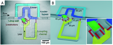 Droplet trapping and fast acoustic release in a multi-height device ...