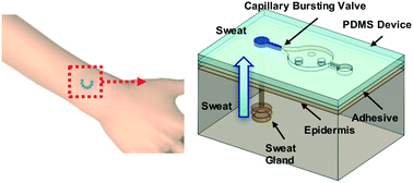 Soft, skin-mounted microfluidic systems for measuring secretory fluidic ...