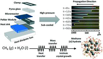 Flash crystallization kinetics of methane (sI) hydrate in a ...