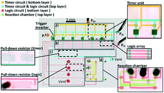 Fully chip-embedded automation of a multi-step lab-on-a-chip process ...