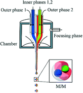 Multiplex coaxial flow focusing for producing multicompartment Janus ...