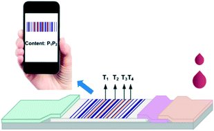 Inkjet-printed barcodes for a rapid and multiplexed paper-based assay ...