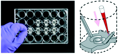 Upgrading well plates using open microfluidic patterning - Lab on a ...