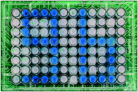 Plug-and-actuate on demand: multimodal individual addressability of ...