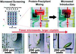 X-ray transparent microfluidic platforms for membrane protein ...
