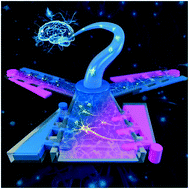 Regeneration Of Neurons