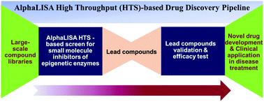 Development of an AlphaLISA high throughput technique to screen for ...