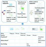 Prediction of drug–pathway interaction pairs with a disease-combined ...