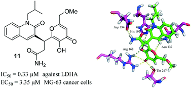 Discovery of human lactate dehydrogenase A (LDHA) inhibitors as ...