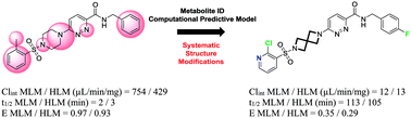 Structure–metabolism-relationships in the microsomal clearance of ...