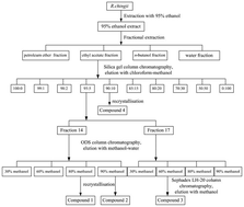 Extraction of antioxidant and antiproliferative ingredients from fruits ...