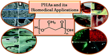 Polyhydroxyalkanoates as biomaterials - MedChemComm (RSC Publishing)