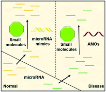MicroRNAs as novel endogenous targets for regulation and therapeutic ...
