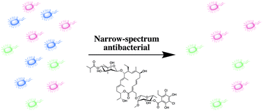Narrow-spectrum antibacterial agents - MedChemComm (RSC Publishing)