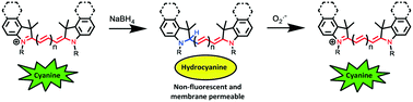 Hydrocyanines: a versatile family of probes for imaging radical ...