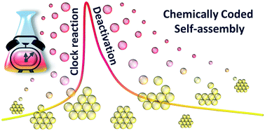 Chemically coded time-programmed self-assembly - Molecular Systems ...