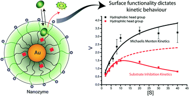 Modulating the catalytic activity of enzyme-like nanoparticles through ...