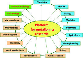 Metallomics: the history over the last decade and a future outlook ...