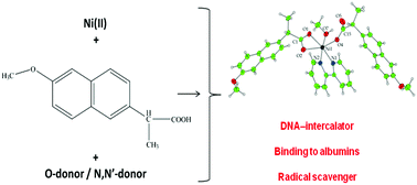 Nickel(ii)–naproxen mixed-ligand complexes: synthesis, structure, antioxidant activity and ...