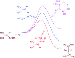 Mechanism of Zn(OTf)2 catalyzed hydroamination–hydrogenation of alkynes with amines: insight ...