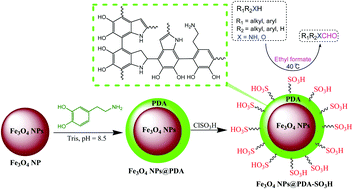 Application of polydopamine sulfamic acid-functionalized magnetic Fe3O4 ...