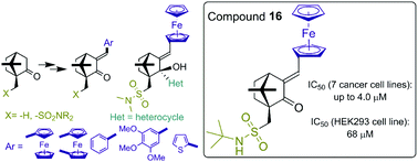 Synthesis of ferrocenylmethylidene and arylidene substituted camphane ...