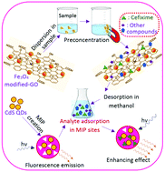 Molecularly imprinted polymers on CdS quantum dots for sensitive ...