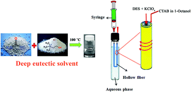 Deep eutectic liquid organic salt as a new solvent for carrier-mediated ...