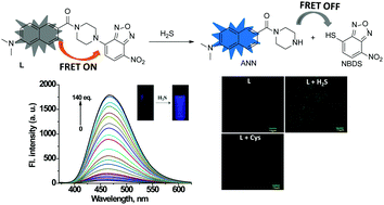 A novel two-photon fluorescent probe for hydrogen sulfide in living ...