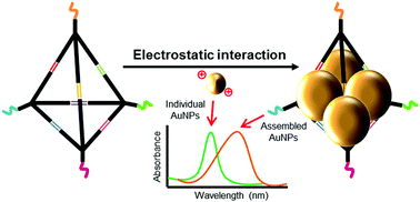 Electrostatic interaction driven gold nanoparticle assembly on three ...