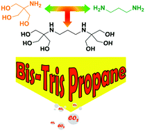 Bis-tris propane in DMSO as a wet scrubbing agent: carbamic acid as a ...