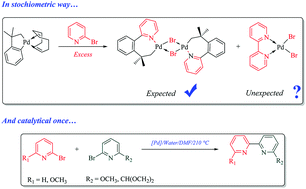 Csp2–Br bond activation of Br-pyridine by neophylpalladacycle ...