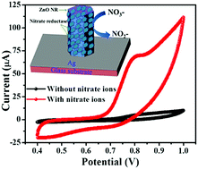 Fabrication of a robust and highly sensitive nitrate biosensor based on ...