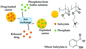 Drug delivery via anion exchange of salicylate decorating poly(meth ...