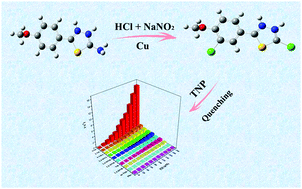 A revisit to the Gattermann reaction: interesting synthesis of nitrogen ...