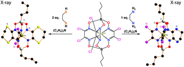 The molecular design of cage metal complexes for biological ...