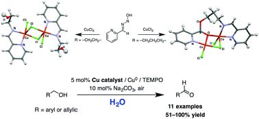 Hydroxyl Group Protecting Groups In Organic Synthesis Protection And