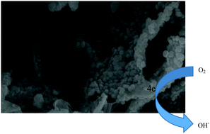 Nitrogen/sulfur dual-doped reduced graphene oxide supported CuFeS2 as ...