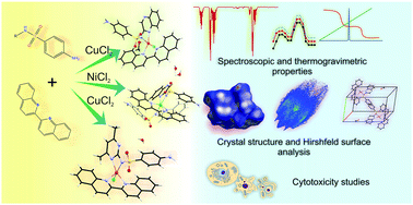 Crystal structure, Hirshfeld surface analysis, spectroscopic and biological studies on ...