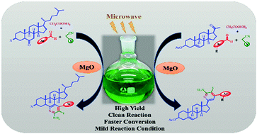 Microwave-assisted MgO NP catalyzed one-pot multicomponent synthesis of ...