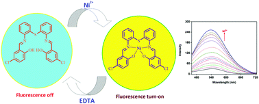 A Schiff base receptor as a fluorescence turn-on sensor for Ni2+ ions in living cells and logic ...