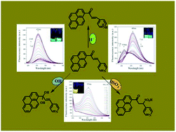A novel pyrene-based dual multifunctional fluorescent probe for ...