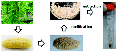 Ionic liquid-modified luffa sponge fibers for dispersive solid-phase ...